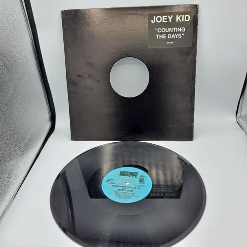 Joey Kid Counting the Days Record Album Vinyl LP | eBay