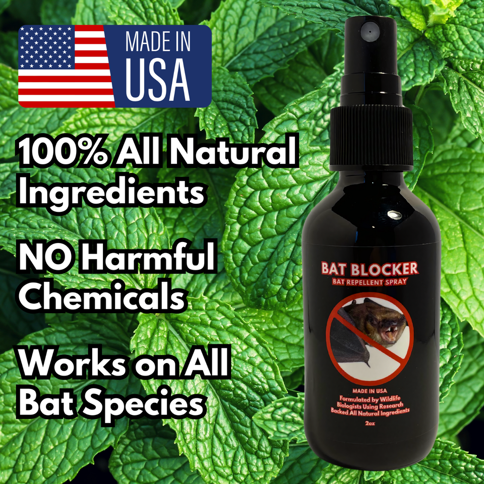 Bat Blocker - Bat Repellent Spray - Non-Toxic Repellent for Pest ...