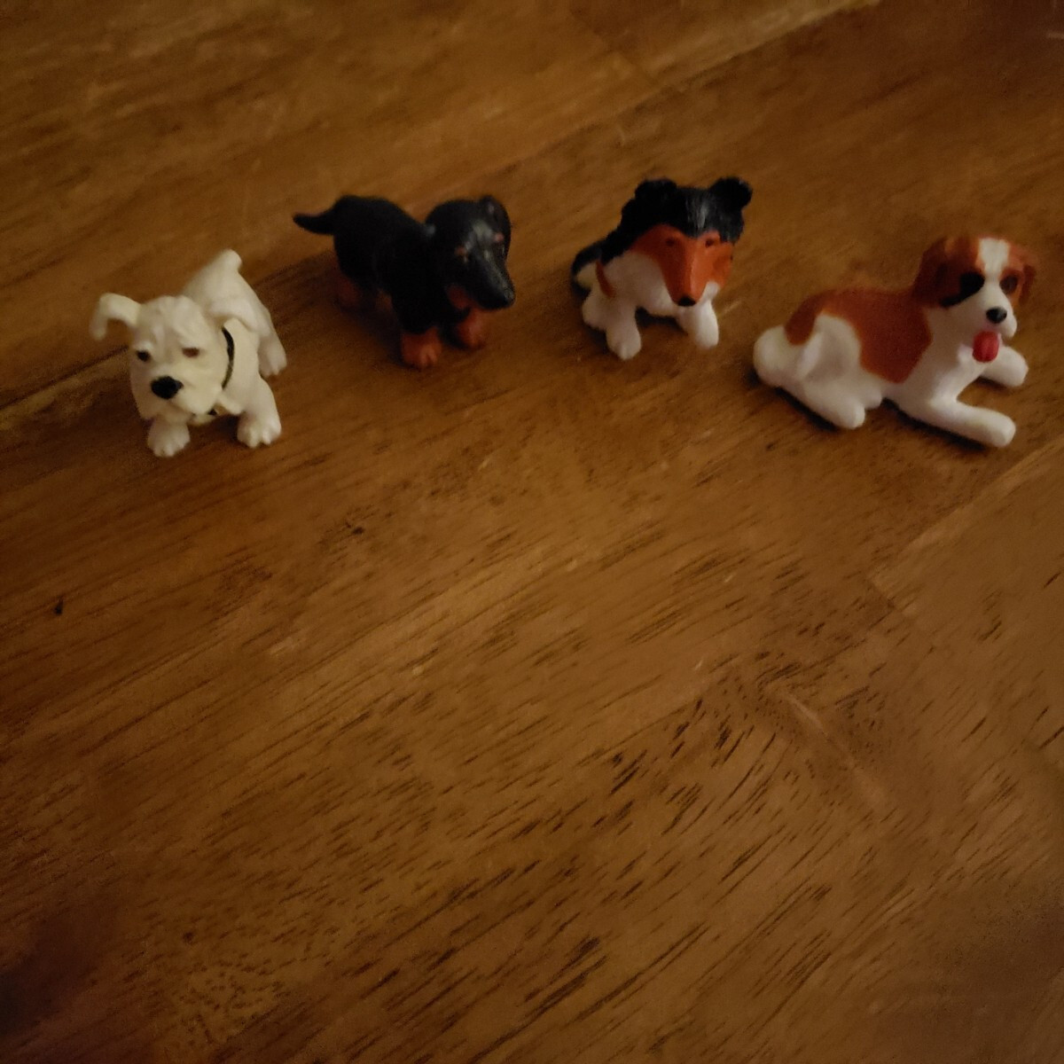 Dogs Bella-Collie, Bradley-Dachshund, Winston-English Bulldog, Flint-St ...