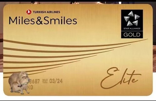 Star Alliance Gold Turkish Airlines Gold Membership 120 DaysValidity ...