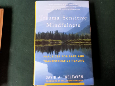 Trauma-Sensitive Mindfulness Practices for Safe and Transformative ...