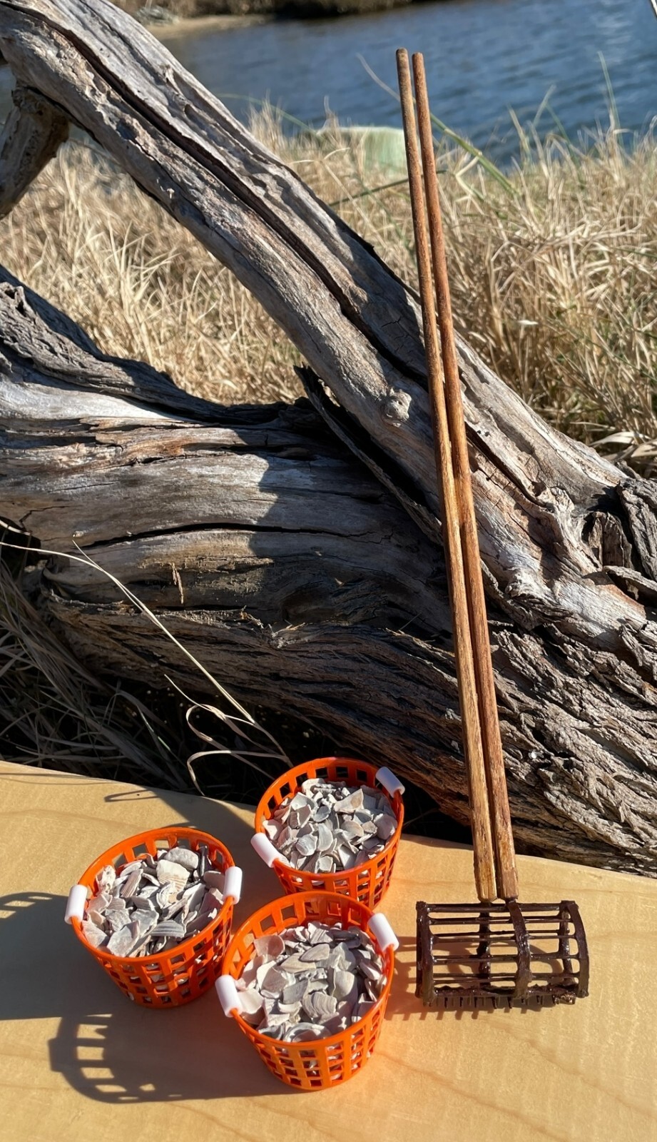 MINIATURE OYSTER TONGS, HAND TONGS, 13 IN. LONG, NAUTICAL ACCESSORY, 1: ...