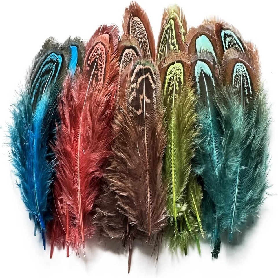 2-3 Inches Natural Pheasant Feathers Colorful Assorted Feathers Sewing ...