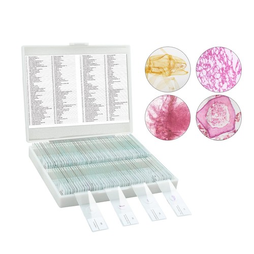 Microscope Slides, 100 Pcs Prepared Microscope Slides with Specimens ...