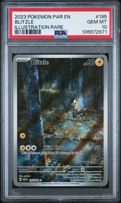 2023 POKEMON PAR EN-PARADOX RIFT ILLUSTRATION RARE #195 BLITZLE PSA 10 ...