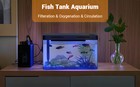 Aquarium Fish Tank Starter Kit Fish Tank Mini Desktop Rectangular Fish ...