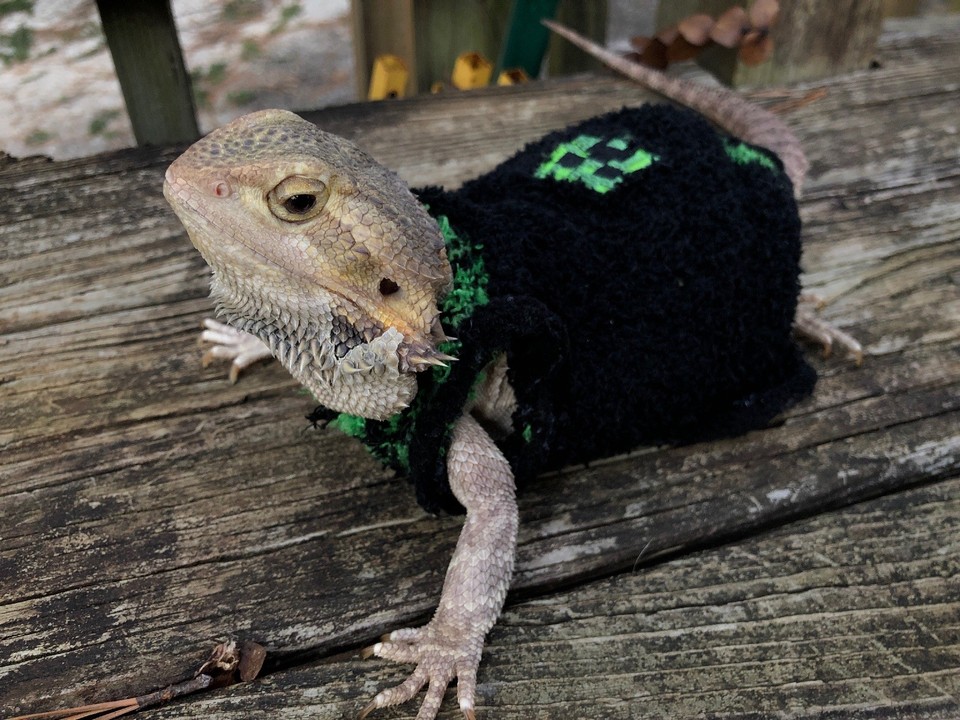 MINECRAFT PRINTS SNUG XLRG SLEEVELESS BODY SHIRT 4 UNISEX BEARDED ...