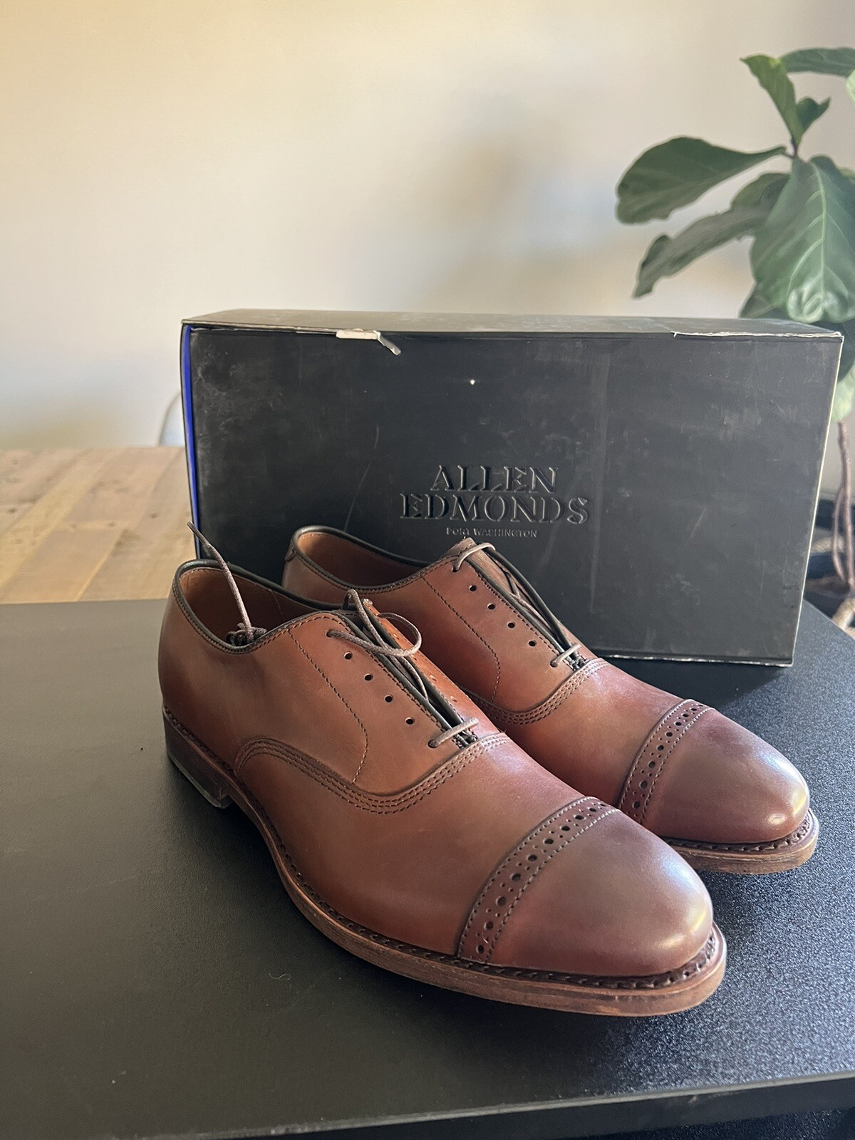 NIB Allen Edmonds Fifth Avenue Cap-toe Oxford Dress Shoe Size8 D Dark ...