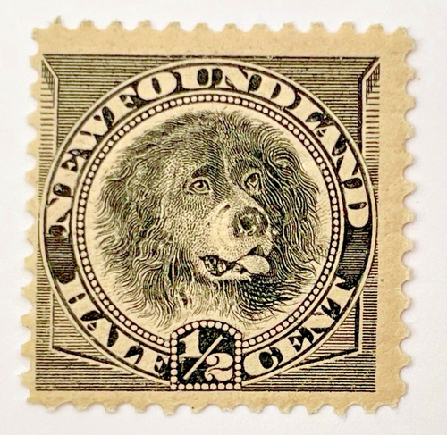 Newfoundland Stamp # 58, Half Cent, 1894 - M/OG/H | eBay