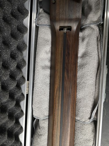 Chapman Stick 10-string electric guitar W Case | eBay