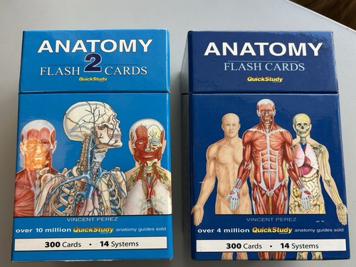 Quick Study Anatomy Flash Cards 2 sets 1 & 2 | eBay