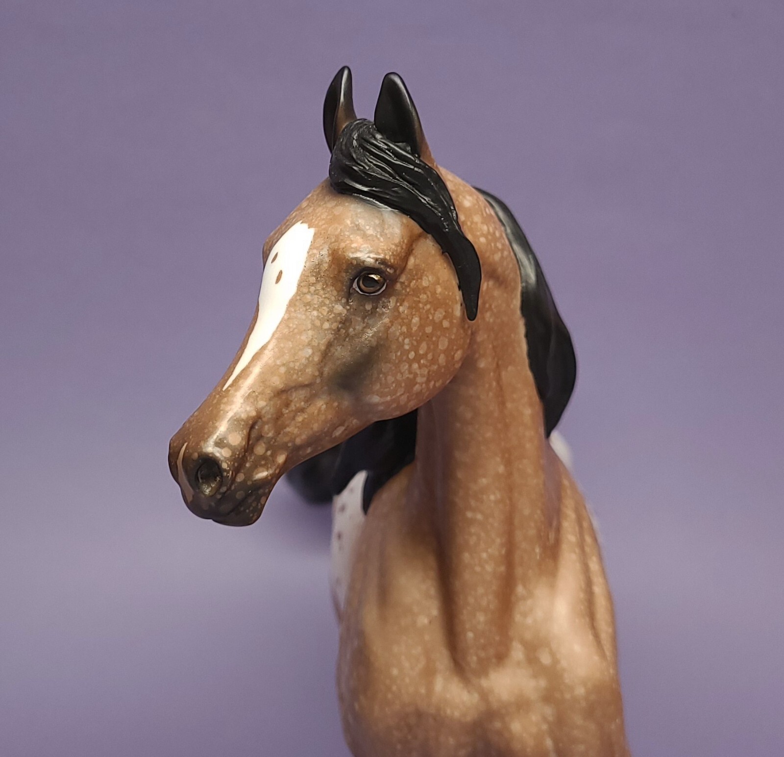 Peter Stone Arabian Mare, Special Limited Edition painted by Audrey Dixon | eBay