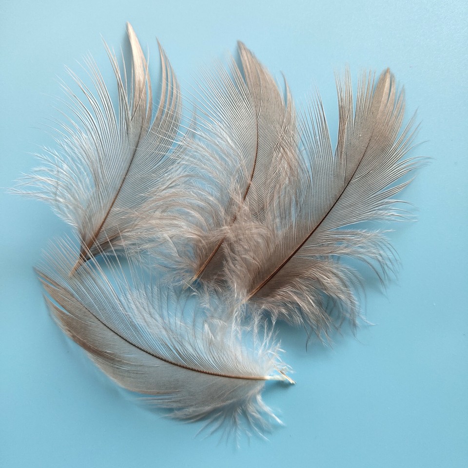 Hot 10-100pcs Gray Heron Silk Feathers 2-10 inch/5-25 cm Decorative ...