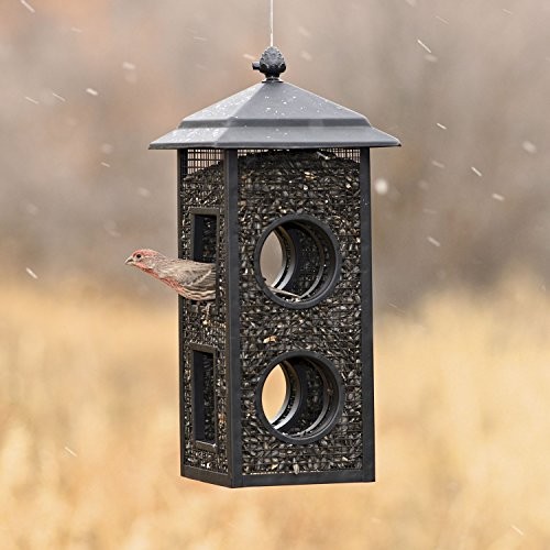 B00303 Fly-Through Wild Bird Feeder 1 Pack | eBay