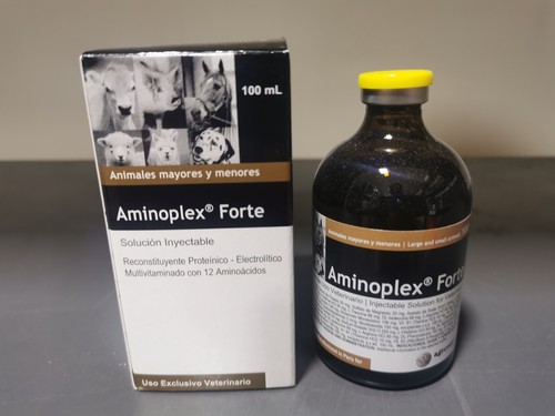Aminoplex® Forte | eBay