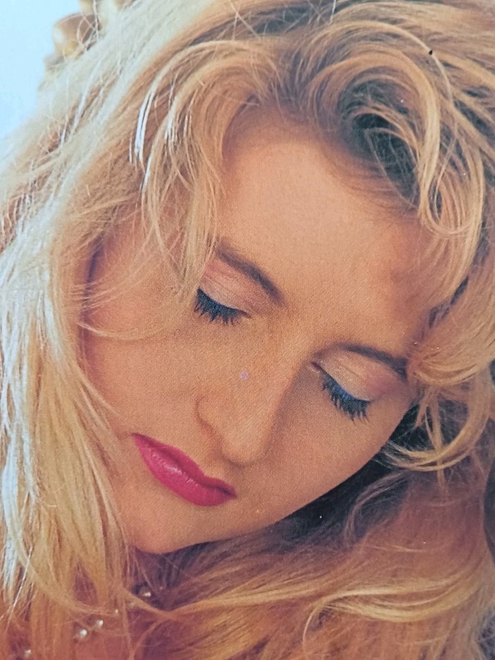 Penthouse Magazine 1996 Volume 31 Number 11 - Vicki Lee Vicky Diana Van Laar | eBay UK