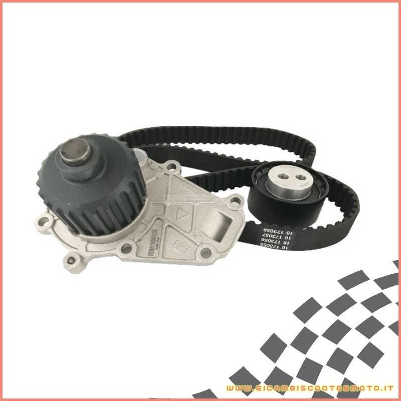 Kit de distribution LOMBARDINI LDW 442 492 DCI MICROCAR M8 MGO DUE' P85 ...