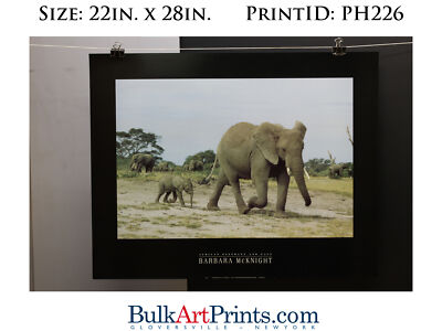 (22 x 28) Poster Art Prints PH226 Barbara McKnight Elephants | eBay