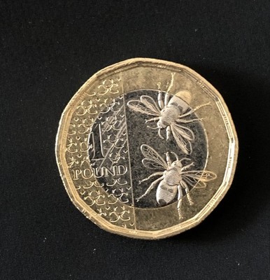 VERY RARE KING CHARLES THIRD BEES 2023 £1 POUND COIN, NO CROWN | eBay UK