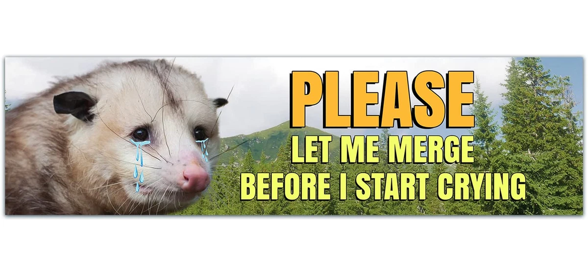 Sad Possum