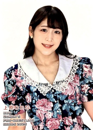 Uehara Wakana Secret Edition BBM 2025 Women's Pro Wrestling Card No.021 Used | eBay