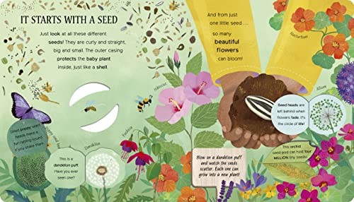 One Little Seed: Exploring Nature for Curious Kids | eBay