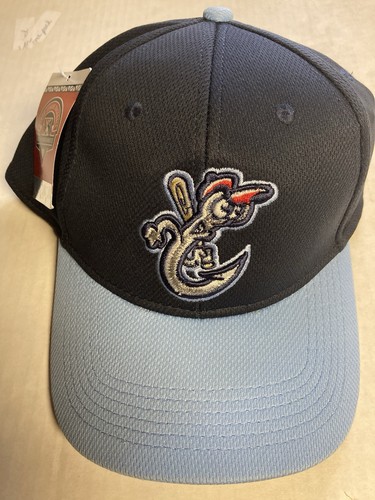Corpus Christi Hooks OC Sports Hat Cap Minor League Houston Astros New ...