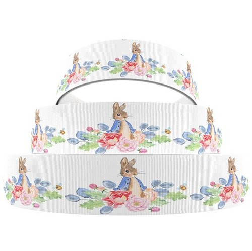 CHARACTER RIBBON - PETER RABBIT | eBay UK
