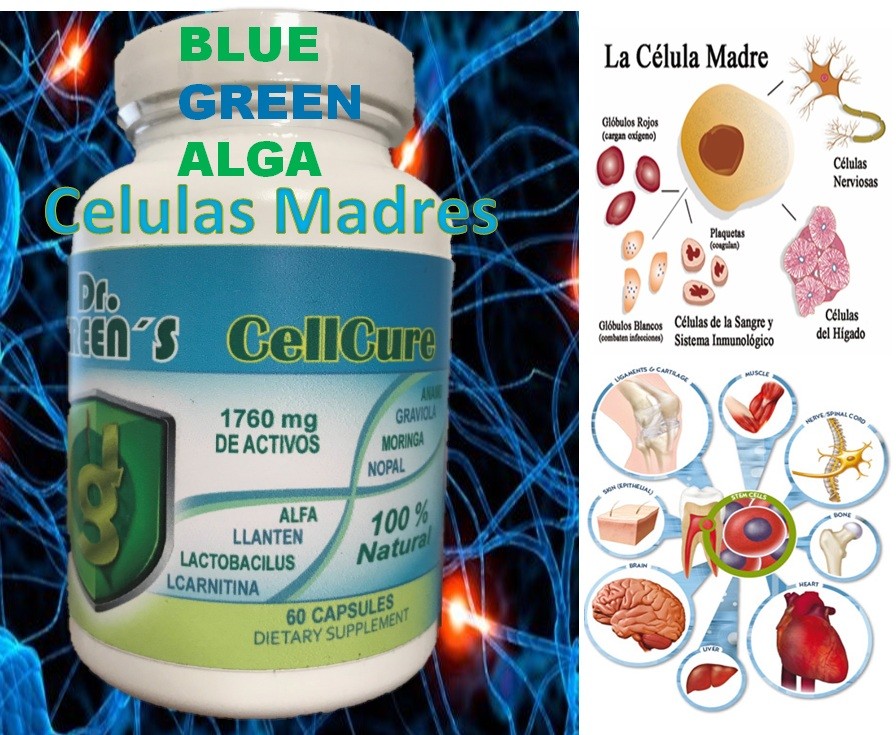 Celulas Madres Biomatrix Madre Cell Plus AFA Adult Health Stem Cell | eBay