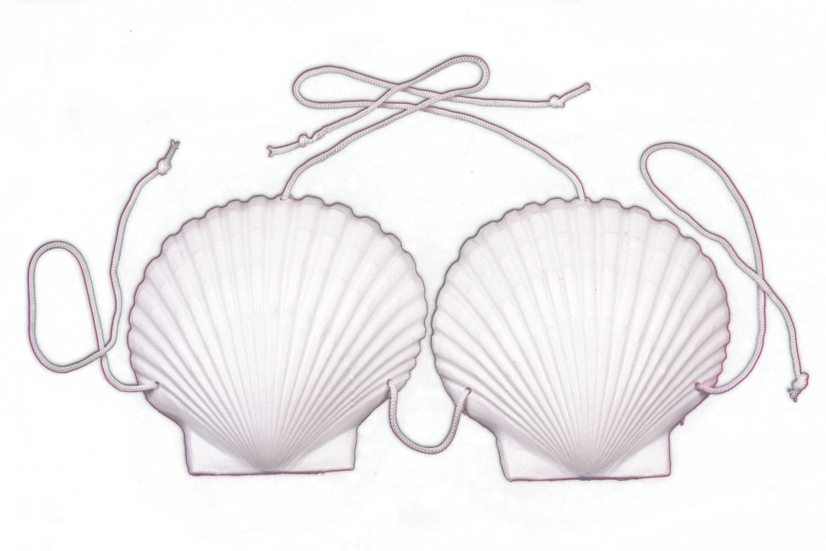 Mermaid Shell Bra