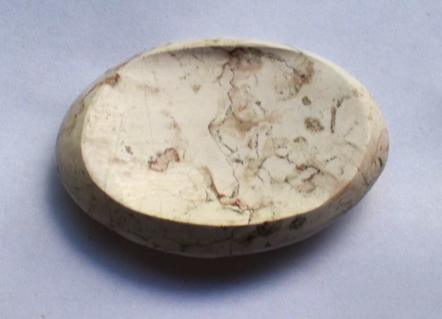 Shellfish Fossil Ancient Seabed Blue Ridge Mountains North Carolina ...