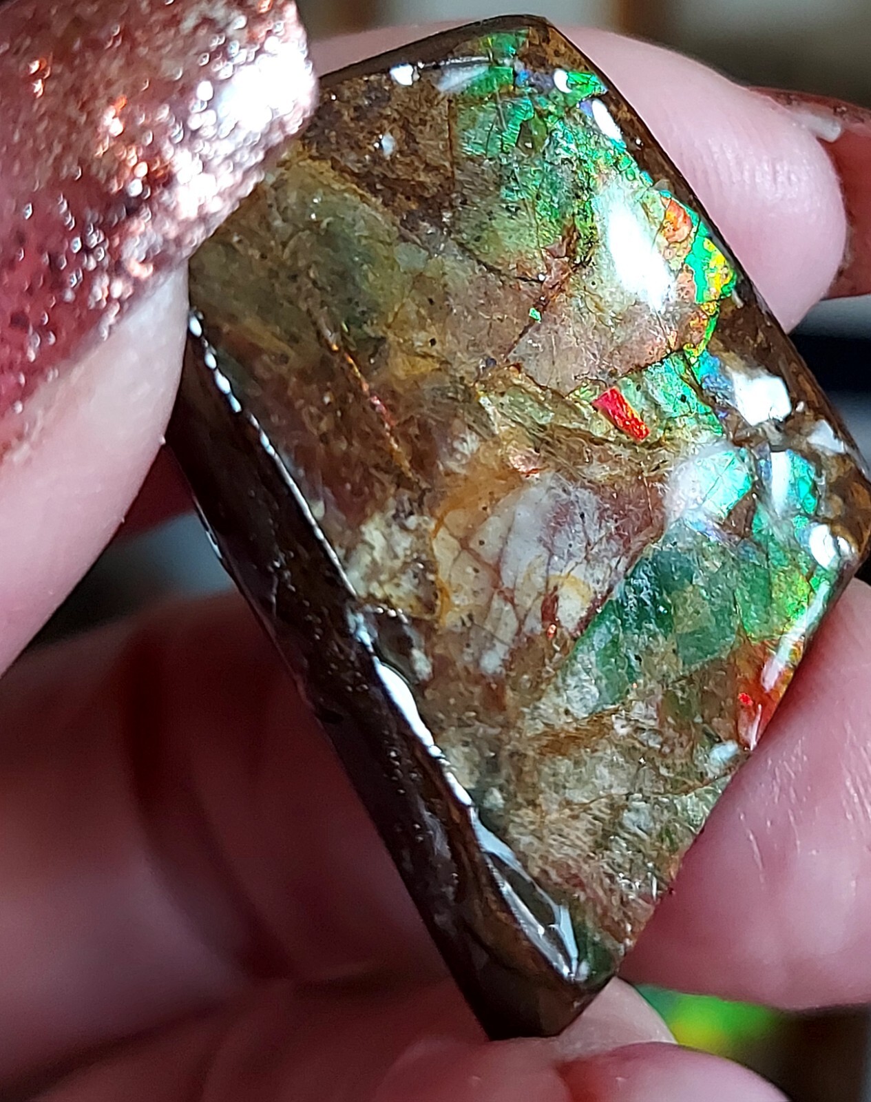 Ammolite Ammonite tabletop Coated Stone 32x23.7x7.4mm #4645 | eBay