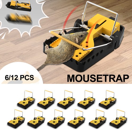 Mouse Trap N Flip Slide Bucket Lid Mice Rat Trap With Ladder Mousetrap ...