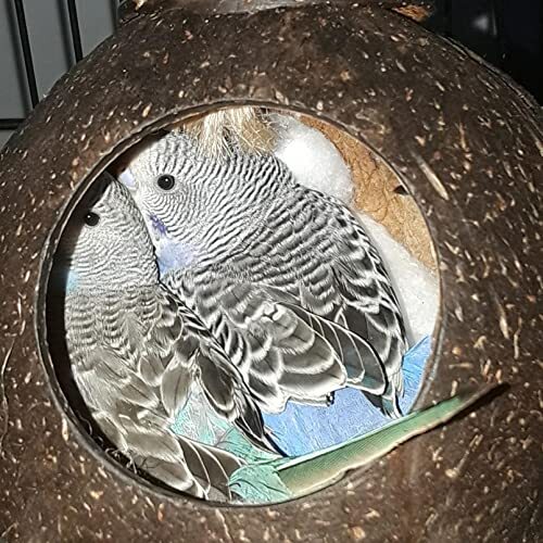 Natural Coconut Shell Bird NestHanging Coco Birds HouseParrots Hide Hut ...