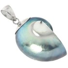925 Sterling Silver Blue Iridescent Nautilus Shell In Sterling Pendant ...