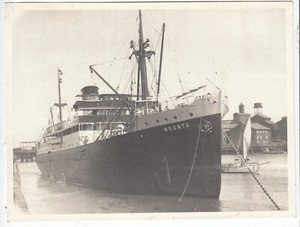 spencey | eBay Stores