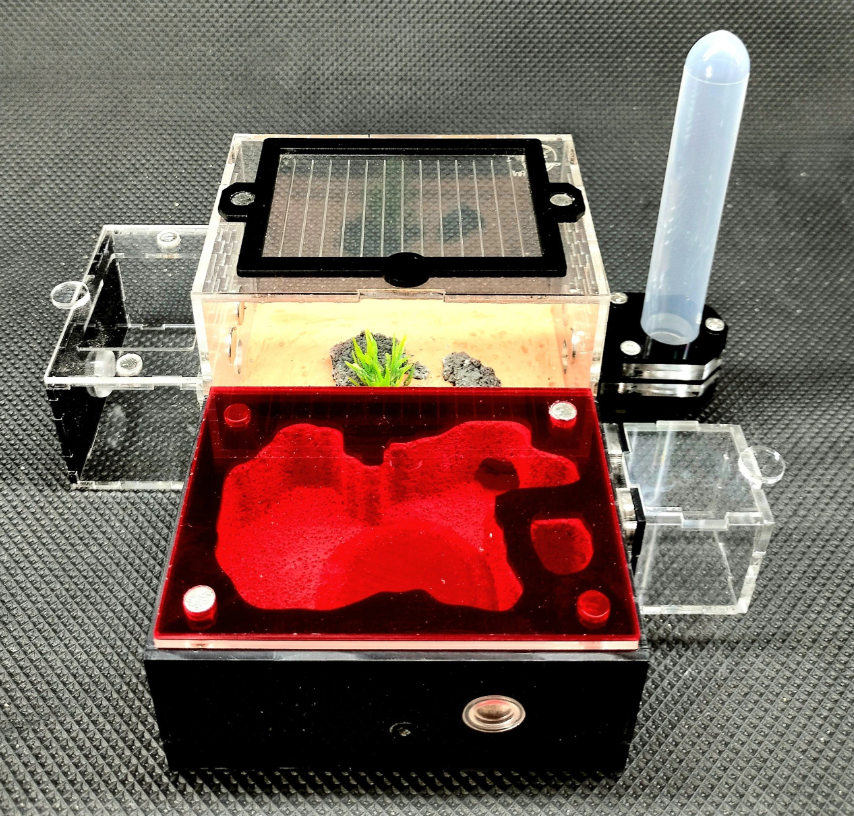 Ant tank/Ant farm - Nest N01 - Full Option | eBay
