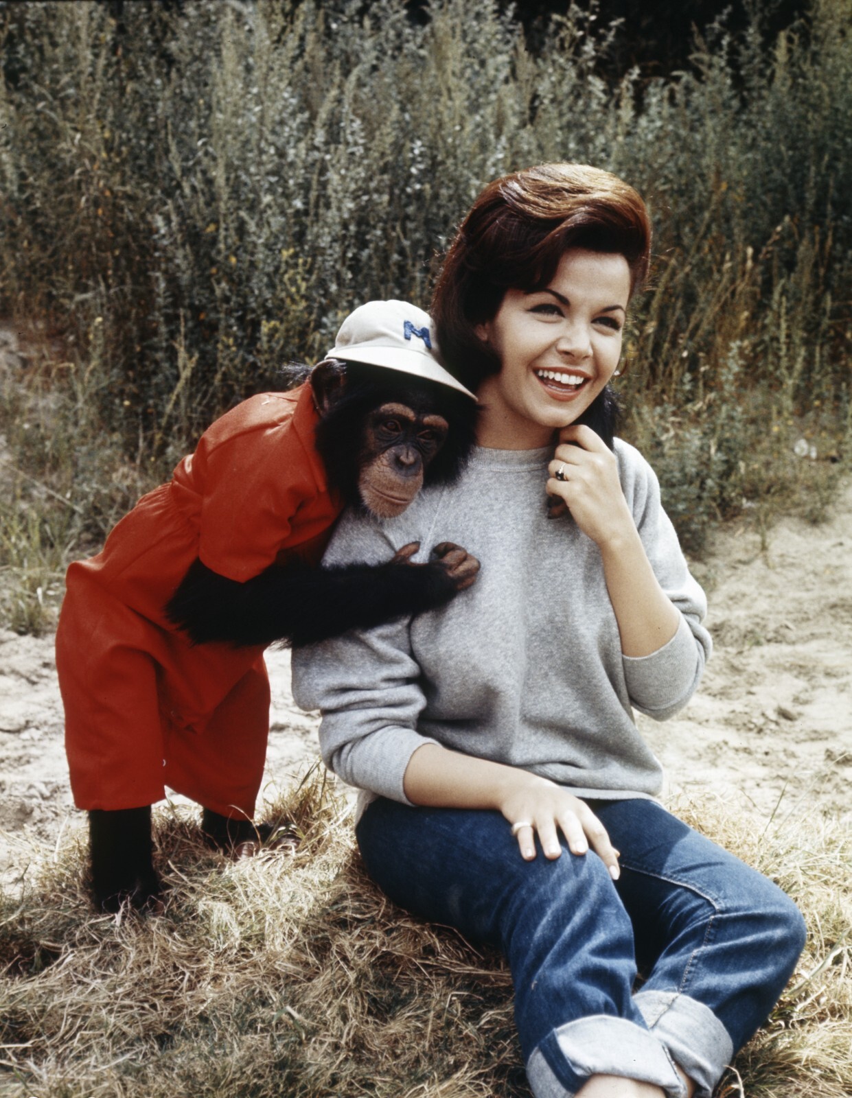 Annette Funicello 8x10 giclee photo | eBay