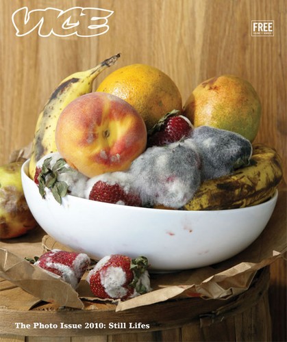 VICE MAGAZINE PHOTO ISSUE 2010 SPIKE JONZE DAVID LYNCH LABRUCE | eBay