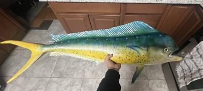 37” Mahi Mahi Dolphin Fish Mount | eBay