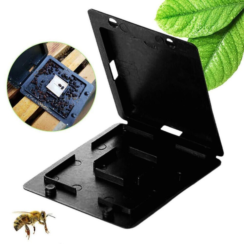 Beetle Trap Beetle Barn Trap Set – Small Hive Beetle Traps for Bee ...