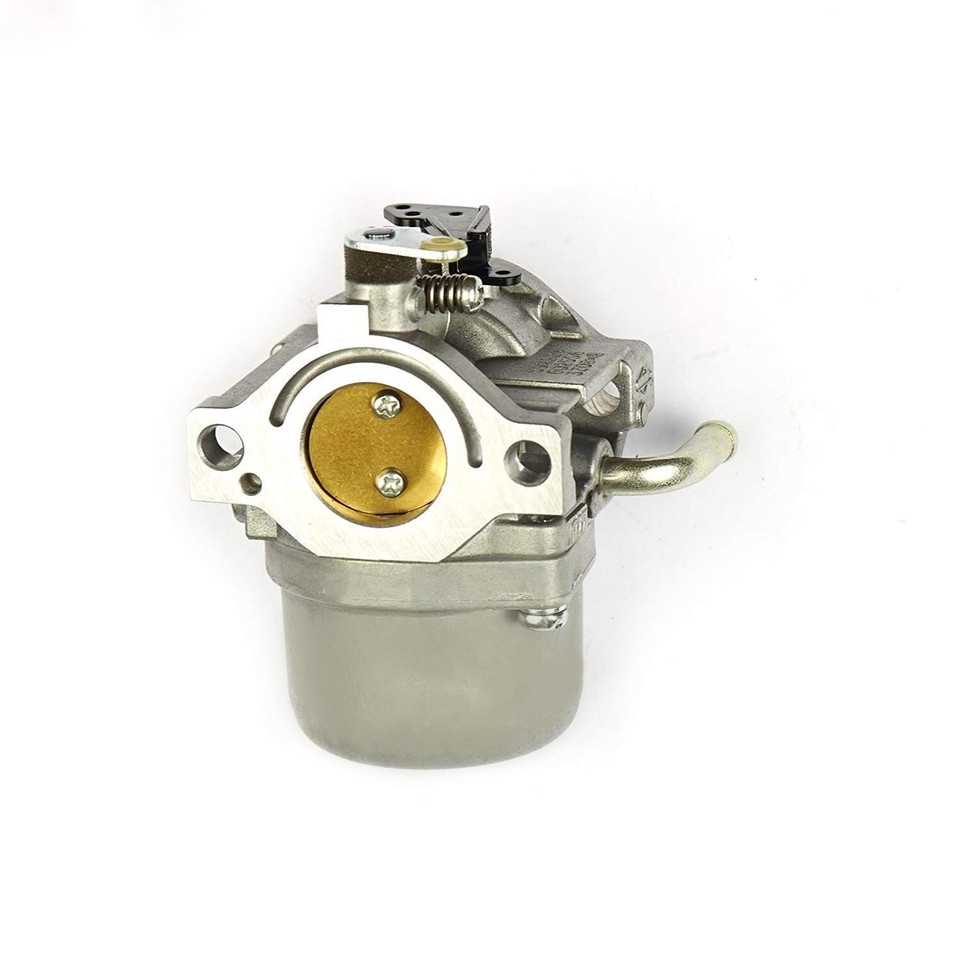 OakTen Carburetor for Briggs & Stratton 590399, 796077 | eBay
