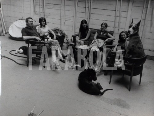 Photo de presse vintage Jim Buck, Dogsitter Vers New York, | eBay