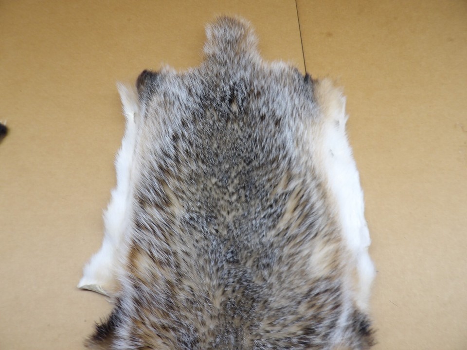 Tanned Badger Hide in rug form /Fur/Taxidermy/Pelts/hides | eBay