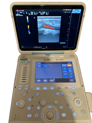 Esaote MyLab Alpha Portable Ultrasound With Case-Cardiac Vascular EHD ...