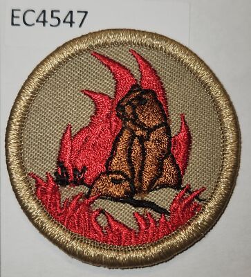 Boy Scout Flaming Ground Hogs Custom Patrol Patch | eBay