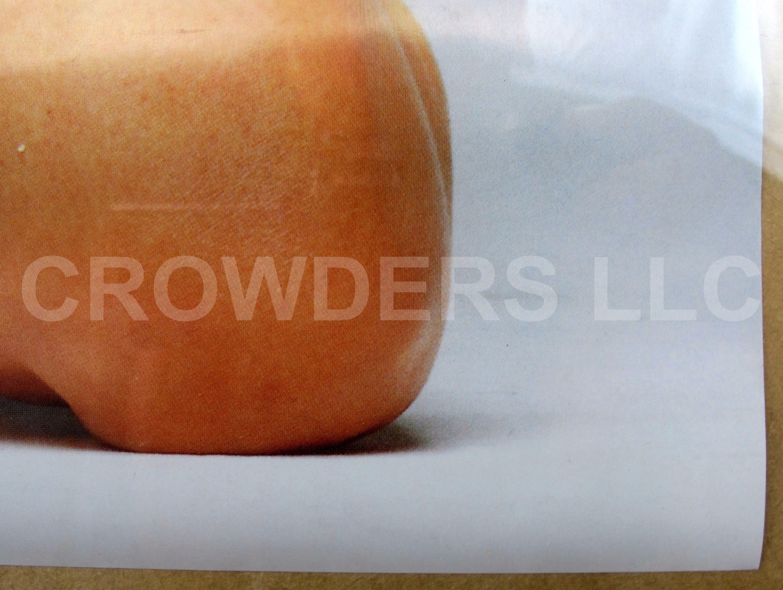 Harris Comics 2001 Maria DiAngelis Vampirella Live Model Poster 22x34 ...