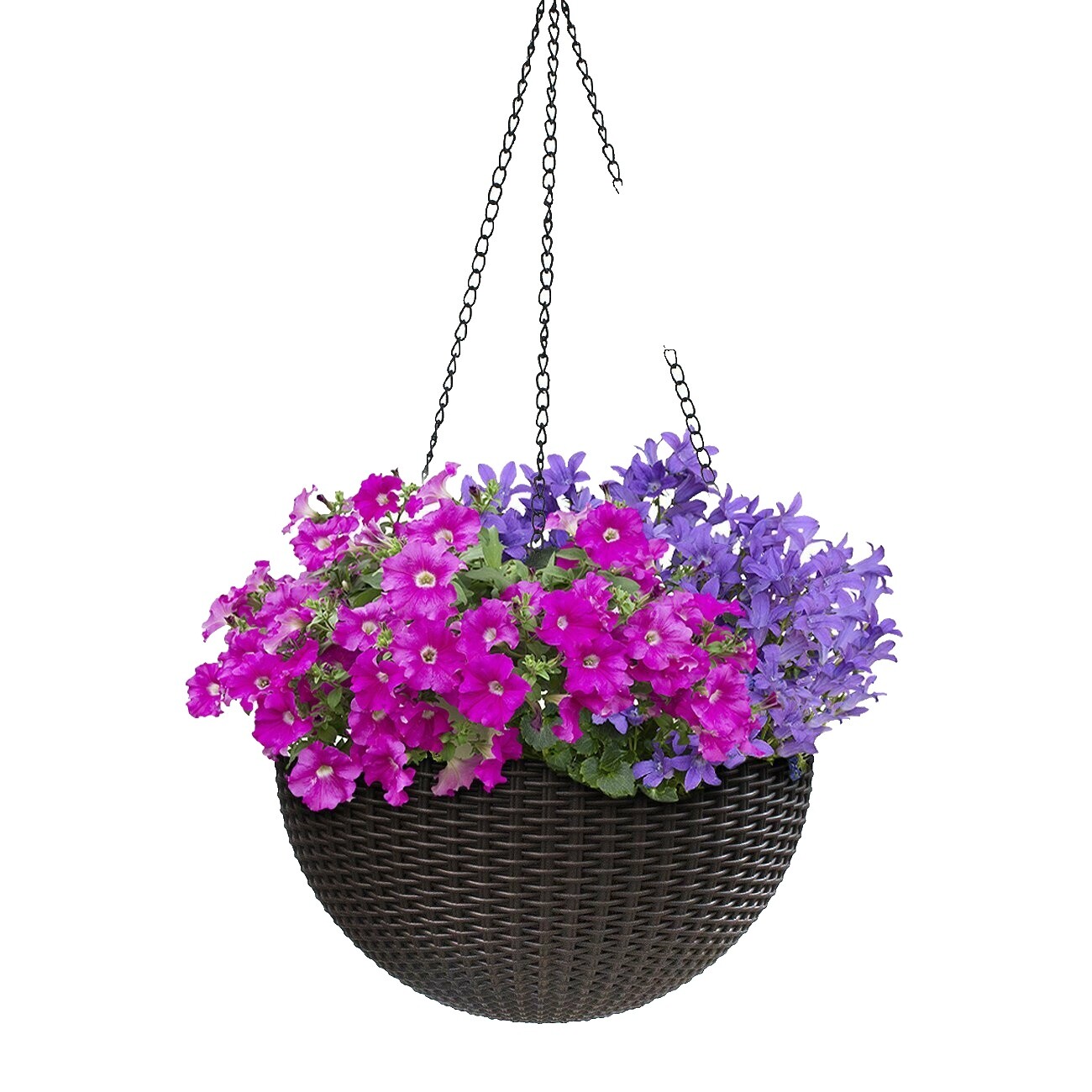 Large Hanging Basket | eBay
