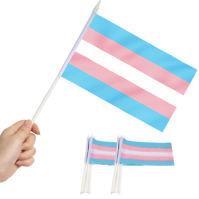 Anley 12 Pack Transgender Stick Flag 5x8 inch HandHeld Mini Flag | eBay