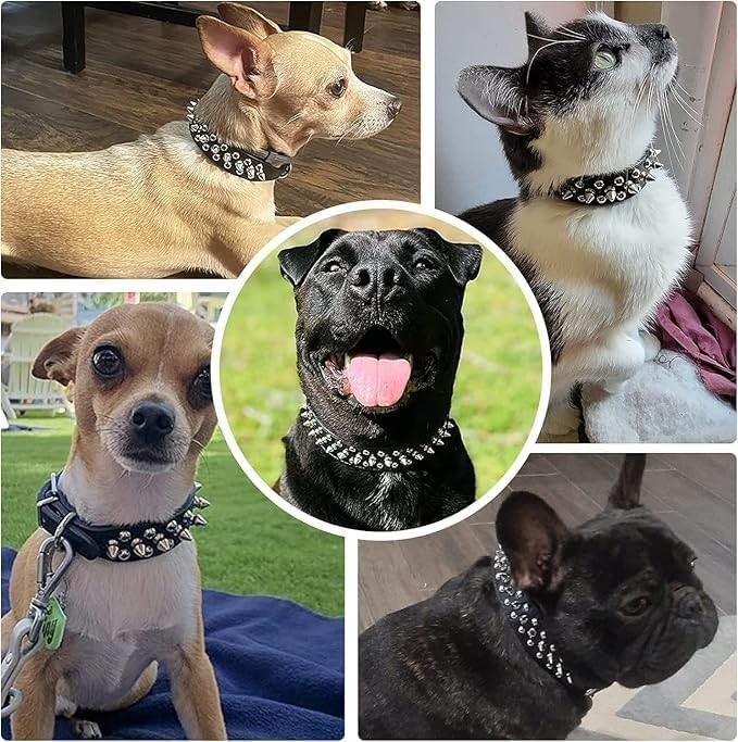 Green Spiked Dog Collar for Small Dogs, Boy Spike XXS(Neck 6-8"), Light ...